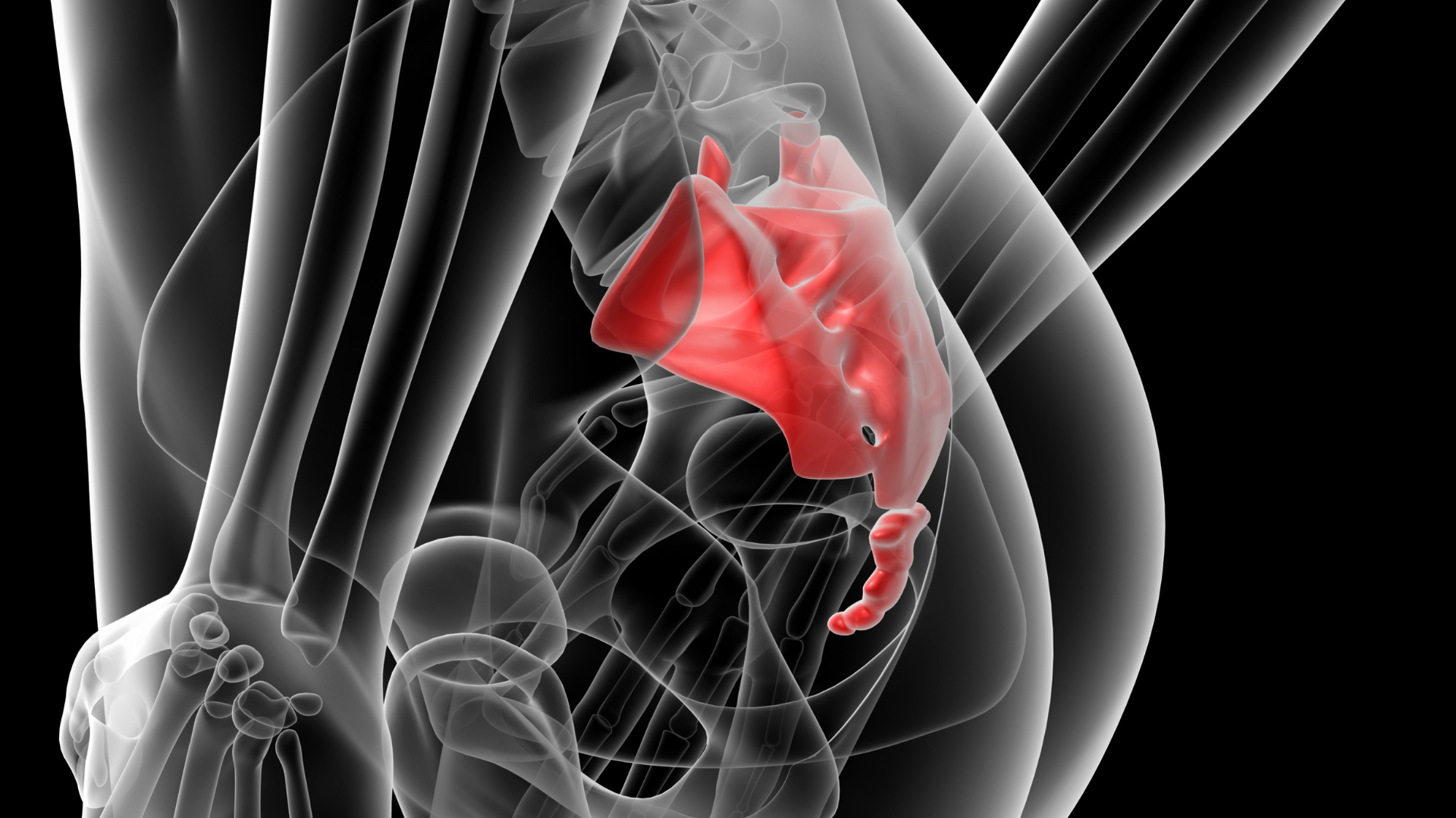 Practical Day - Coccyx Pain - SmartEducation