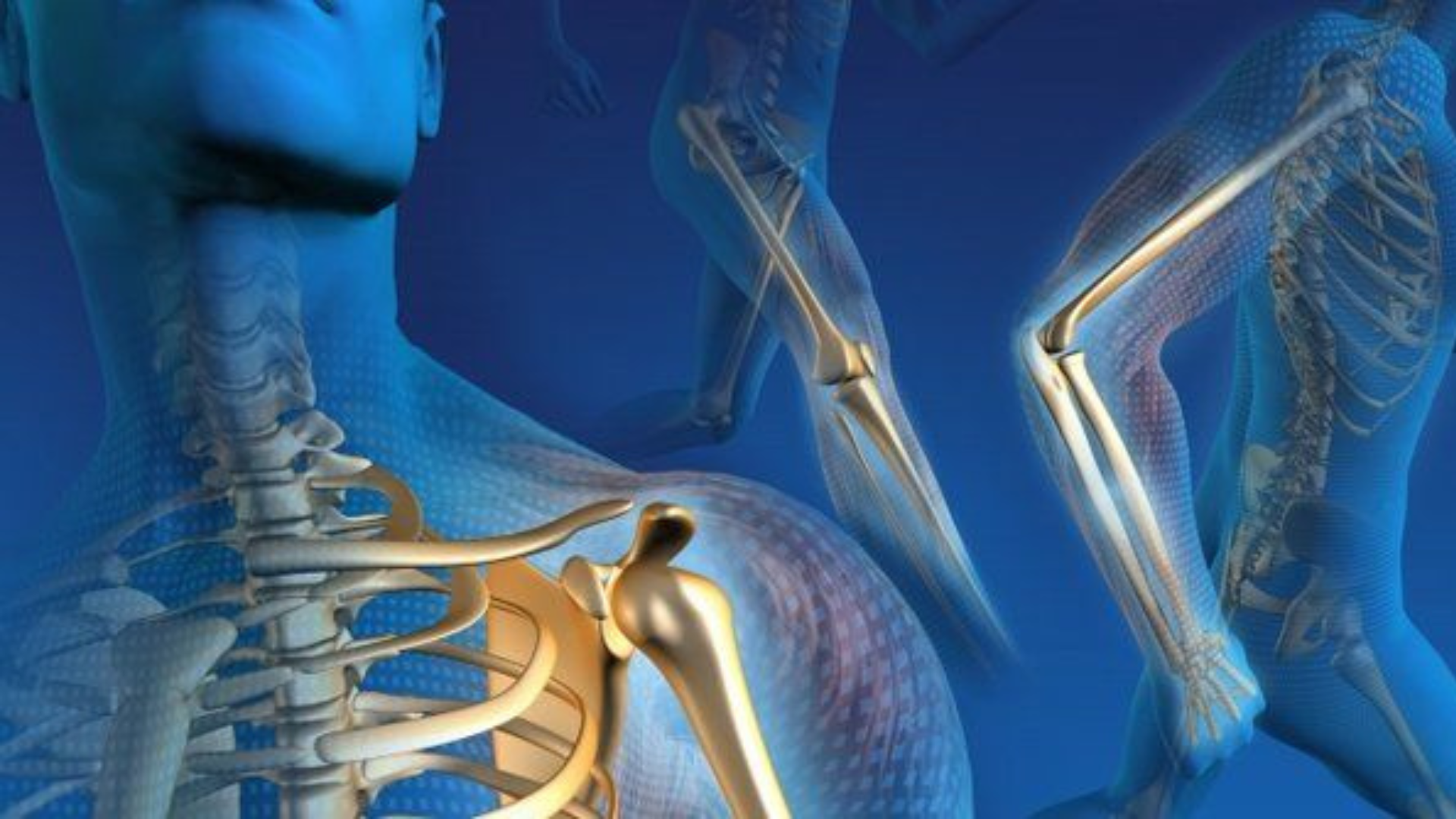 Muscle and tendon injuries : clinical pearls* - SmartEducation